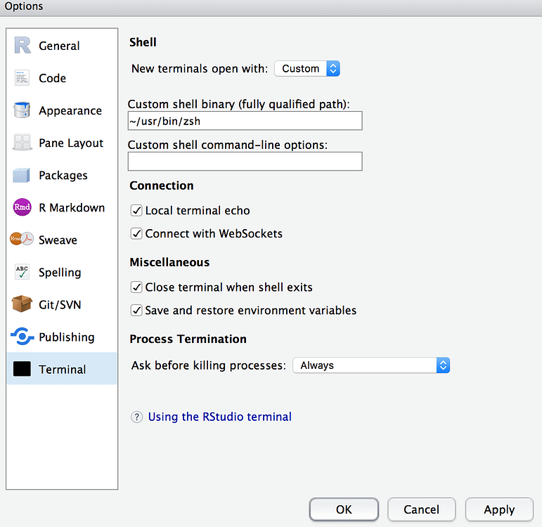 Terminal in new R Studio seems buggy - RStudio IDE - Posit Community