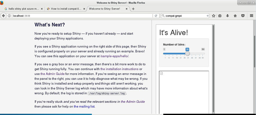 Displaying plot with Shiny server - shiny - Posit Community