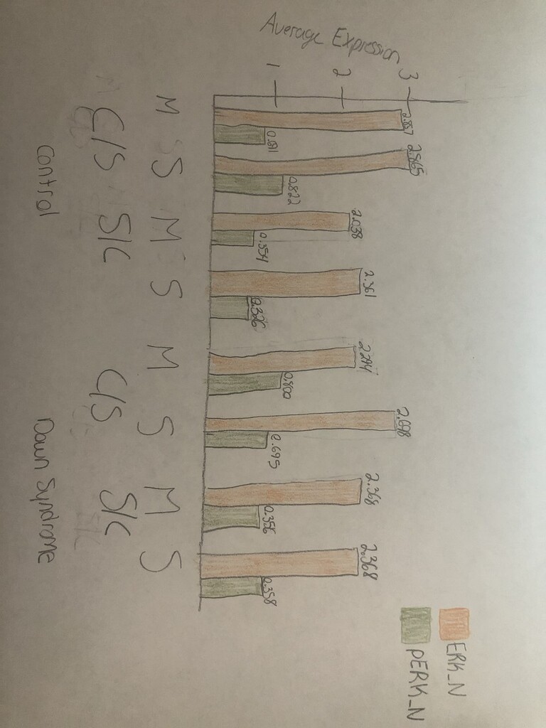 Help making a complex bar plot with ggplot2 - shiny - Posit Community