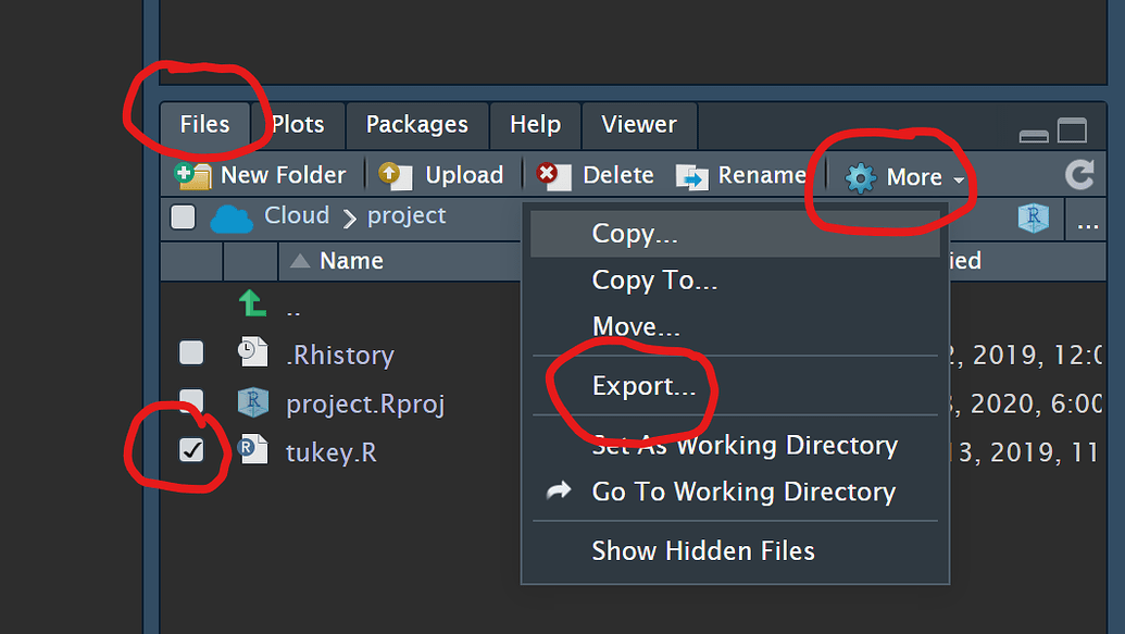 How does one download files from RStudio cloud onto desktop - Posit ...