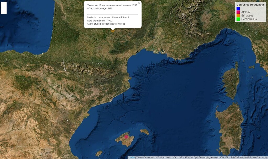 Add different pictures to each Markers in the Leaflet Package (Map ...