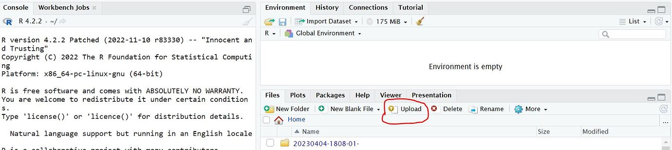 Unable to see 'upload option' in posit workbench - RStudio IDE - Posit ...