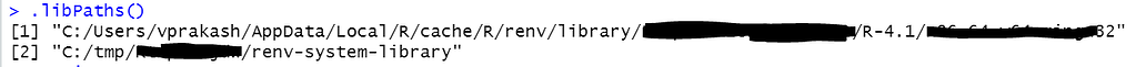Renv package installation - General - Posit Community