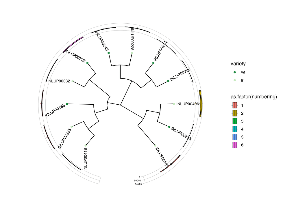 how to change the fill color of geom_fruit - tidyverse - Posit Community