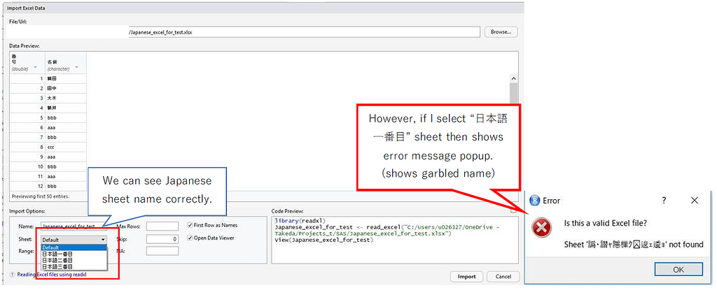 RStudio Desktop : Import Excel Screen can't import data when use Japanese Language sheet name ...
