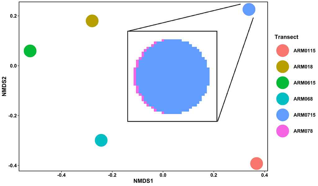 NMDS point hidden behind another point - General - Posit Community