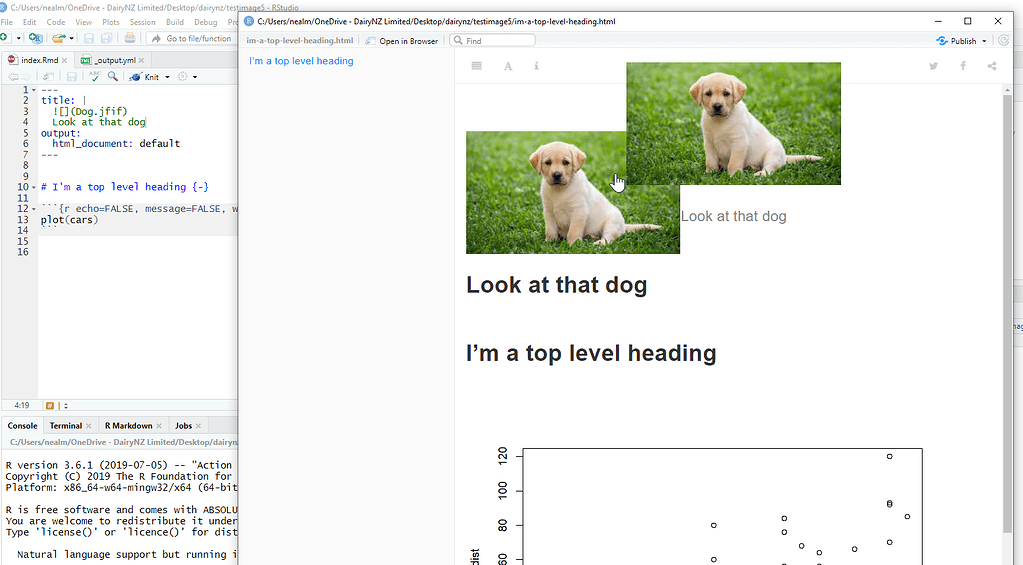 Why Does Hovering Over My Image Show Another Copy Of My Image When In Html Made From Rmarkdown