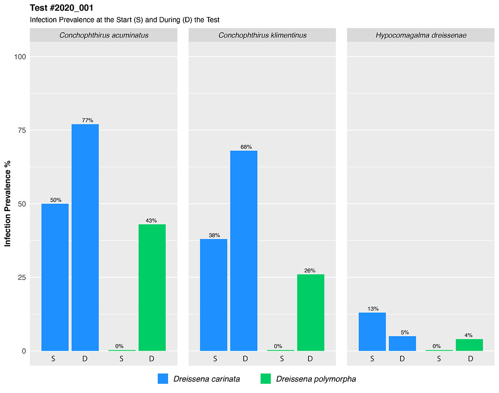 Label X Axis With One More Categorical Value Tidyverse Posit Community