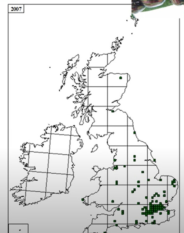 Mapping species occurrence points - General - Posit Community Mapping species occurrence points - General - Posit Community