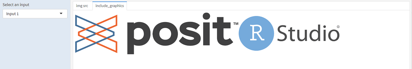 Conditionally display local image in Flexdashboard - shiny - Posit Community