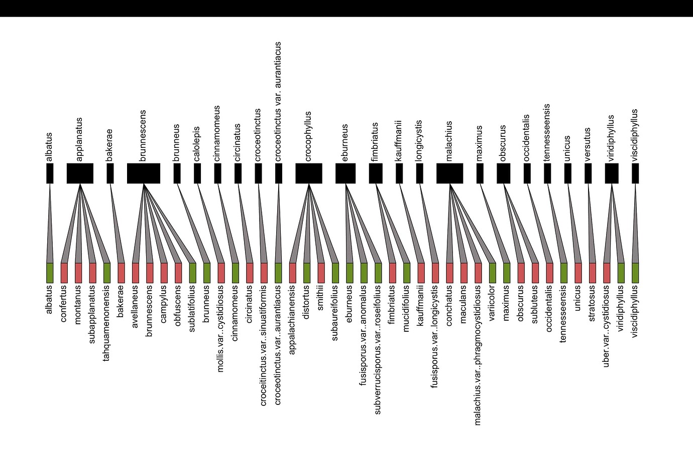 Interaction Lines As A Color Gradient Function Plotweb Package Bipartite General Posit 0639