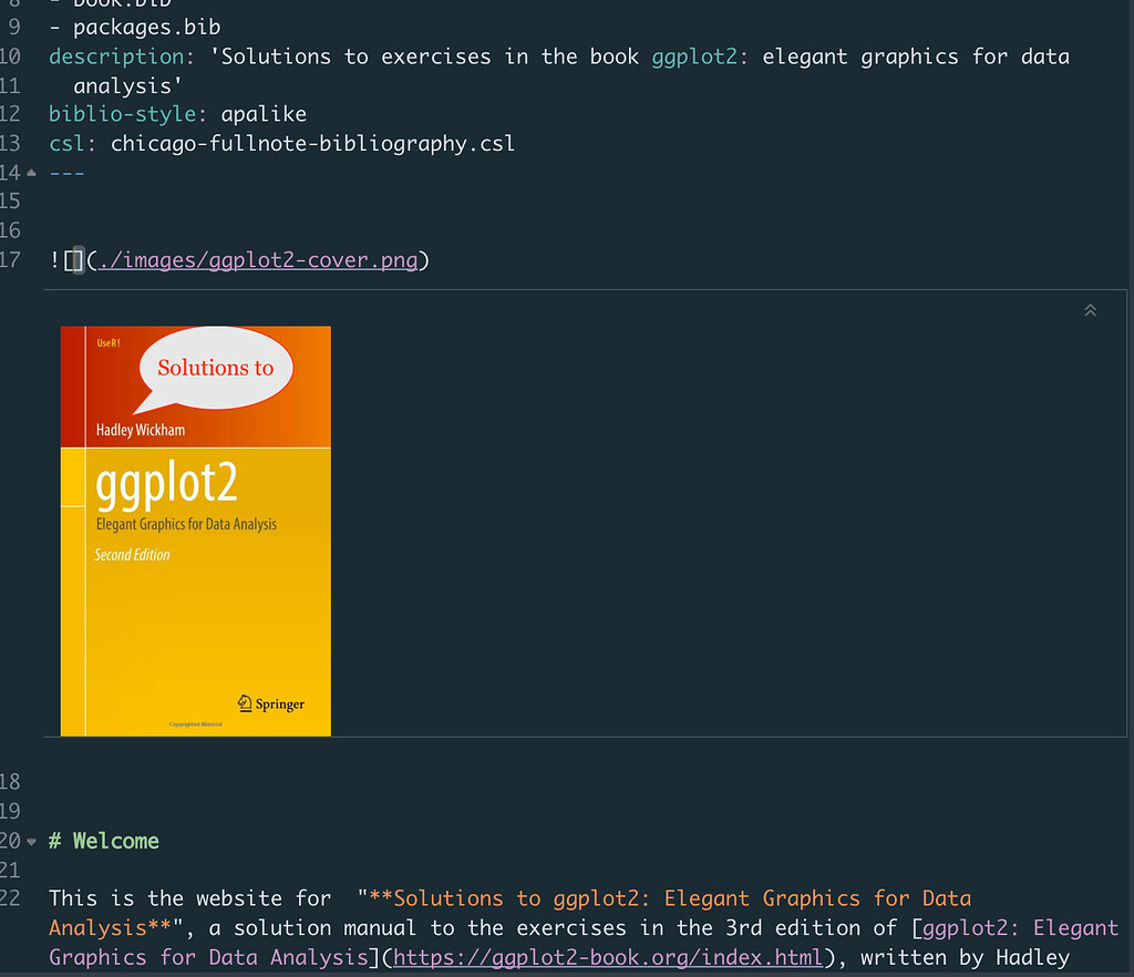 Images Not Rendering On Bookdown General Posit Community