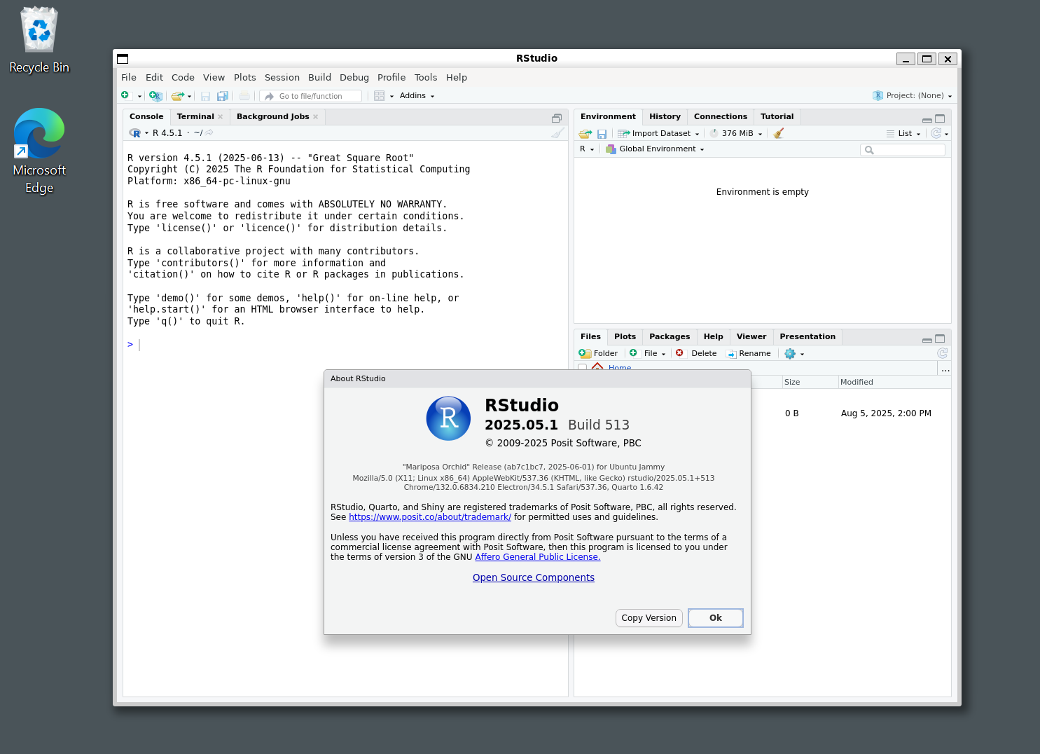Rstudio not working on WSL - RStudio IDE - Posit Community